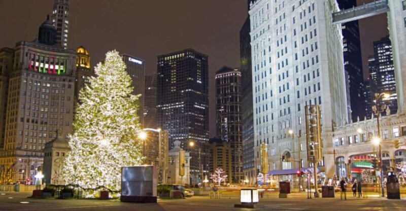 Chicagos Festive Lights: Private Magical Christmas Journey - Who Should Book This Tour?