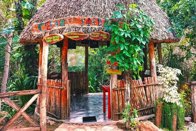 Chichen Itza, Valladolid and Yokdzonot Cenote Excursion - Who Will Love This Tour?