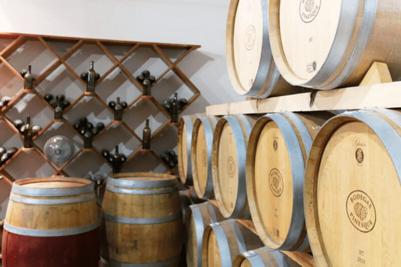 Chihuahua: Insignia Winery Wine Tasting Experience - Exploring the Insignia Winery Experience