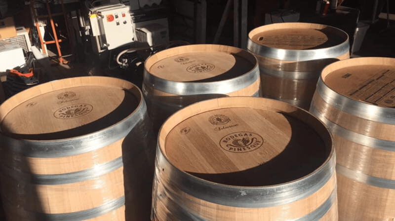 Chihuahua: Insignia Winery Wine Tasting Experience - Who Will Love This Tour?