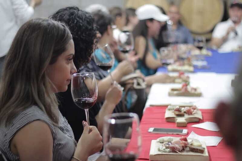 Chihuahua: Winery Tasting Experience - Key Points