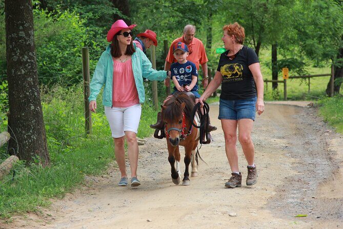 Children Mini Horse Rides - Why This Experience Works Well