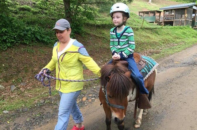 Children Mini Horse Rides - Who Would Love This Tour