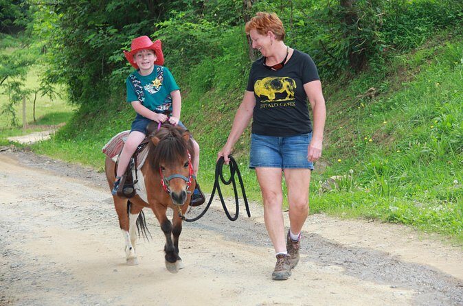 Children Mini Horse Rides - FAQ