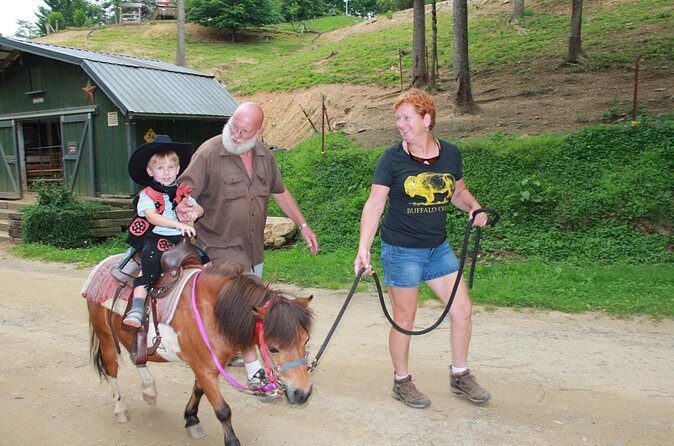 Children Mini Horse Rides - Final Thoughts