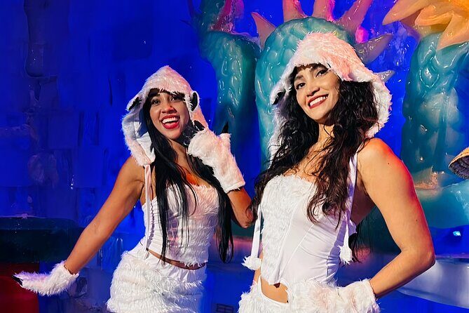 Chill at -18°C Isla Mujeres Ice Bar (tickets) - Key Points
