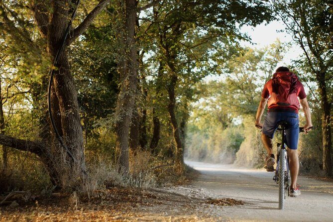 Chill Sunset Tour with E-Bike - Final Thoughts