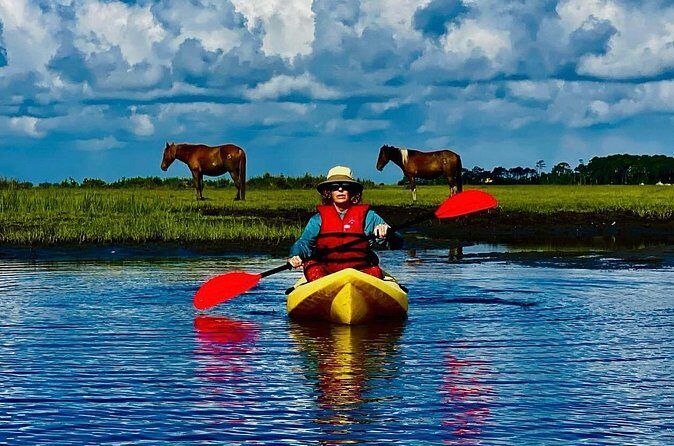 Chincoteague Canoe Rental around Assateague Island - Why Choose this Canoe Rental?