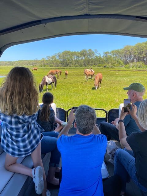 Chincoteague: Premier Pony & Wildlife Small Group Boat Tour - Key Points