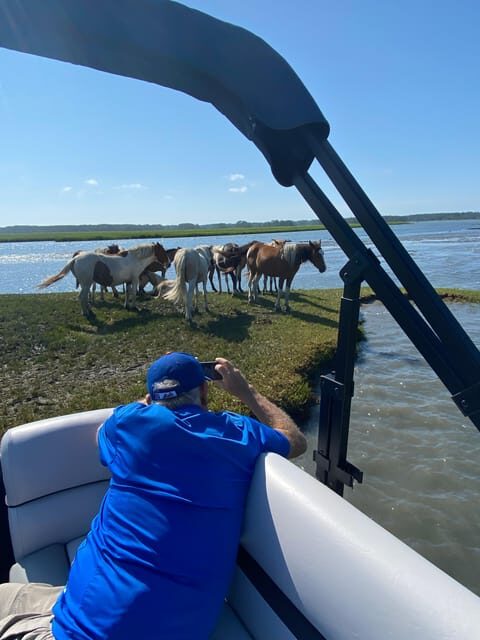 Chincoteague: Premier Pony & Wildlife Small Group Boat Tour - What to Expect from the Tour