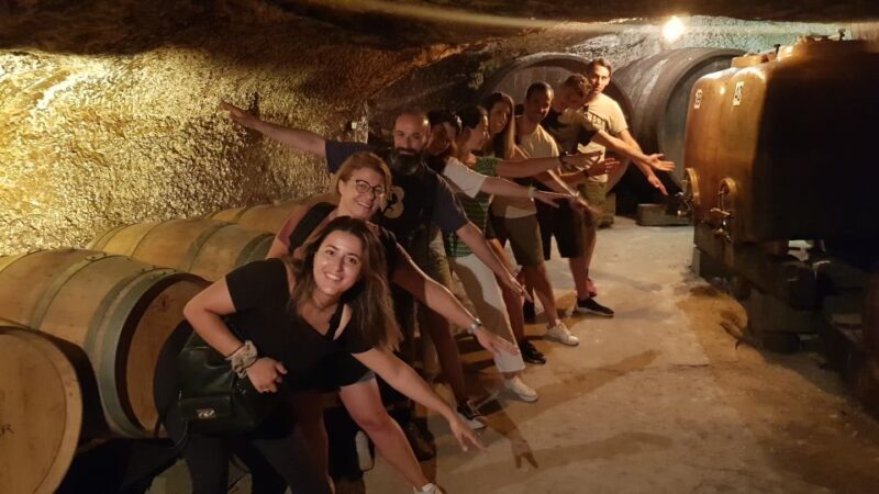 Chinon: Bicycle Tour of Saumur Wineries with Picnic Lunch - The Sum Up