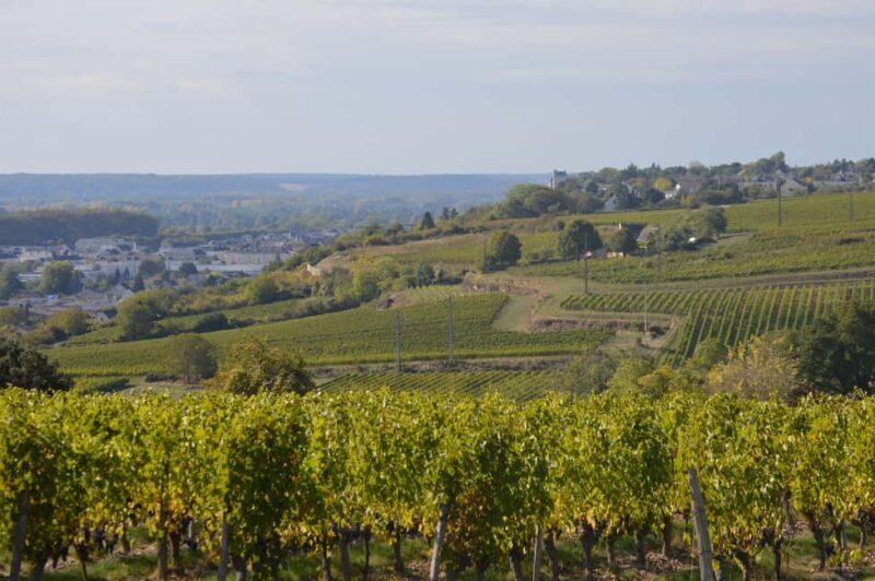 Chinon : Discovery Tours and Wine Tasting - Practical Details and What You Need to Know
