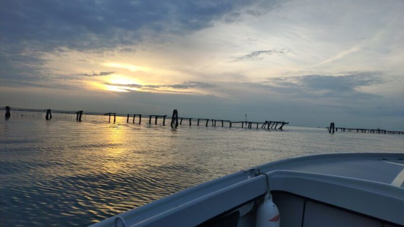Chioggia: discover aquaculture techniques in a typical boat - Why You Should Love This Tour