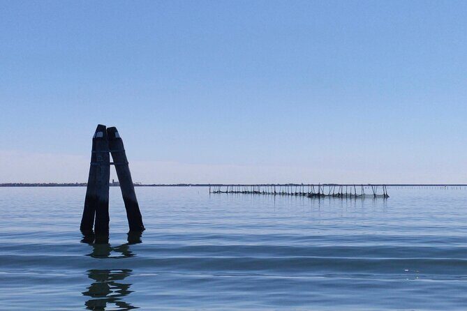 Chioggia : Private Boat Tour To Discover The Venetian Lagoon - A Deeper Look: What This Tour Offers