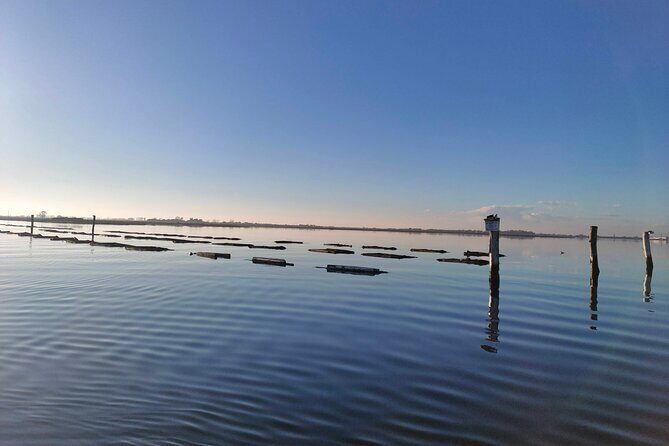 Chioggia : Private Boat Tour To Discover The Venetian Lagoon - The Itinerary in Detail: What to Expect