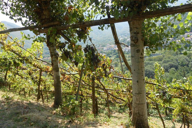 Chiunzi Pass loop by bicycle - Who Should Consider This Tour?