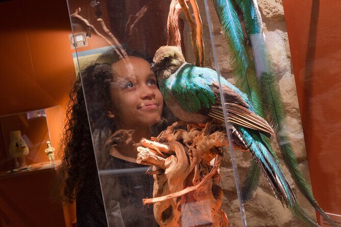 Choco-Story Paris - The Chocolate Museum - What to Expect at Choco-Story Paris