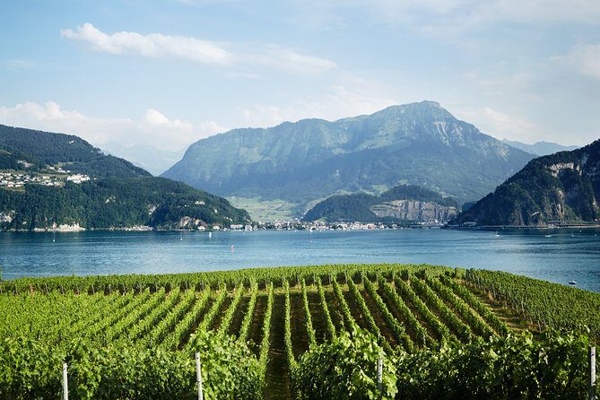 Chocolate, Cheese and Wine Tour in Luzern region - Who Is This Tour Best For?
