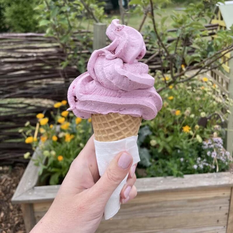 Chocolate Factory, Honey Visitor Centre and Ice Cream Tour - Who Will Love This Tour?