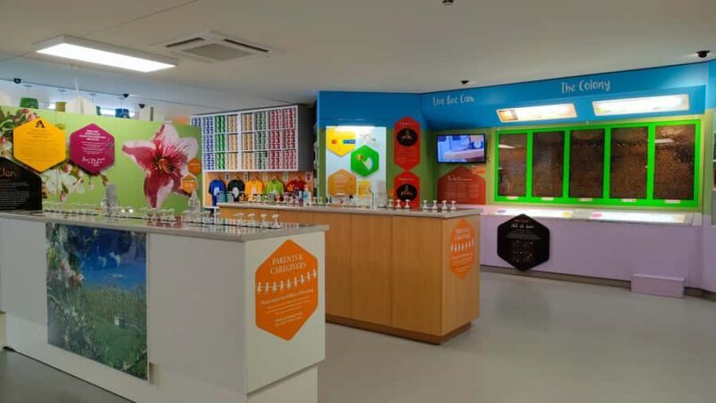 Chocolate Factory, Honey Visitor Centre and Ice Cream Tour - Final Thoughts