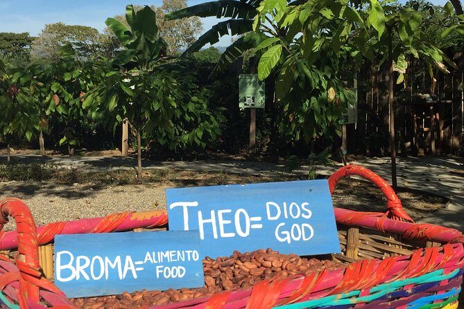 Chocolate Tour in Vallarta - Key Points