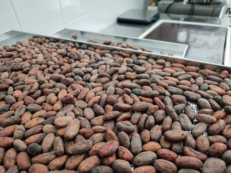 Chocolatier for a day: raw bean to bar chocolate in Modica - The Experience Environment