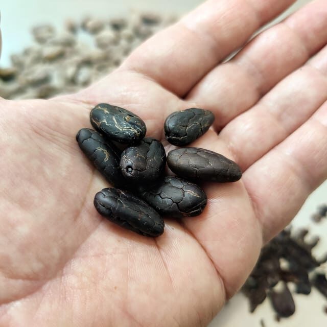 Chocolatier for a day: raw bean to bar chocolate in Modica - Practical Details and Considerations