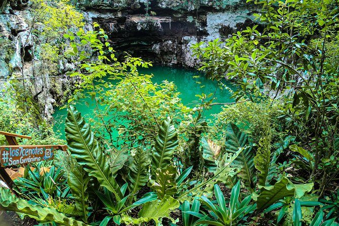 Choose your experience to live in Los 7 Cenotes San Gerónimo - Highlighting the Cenotes