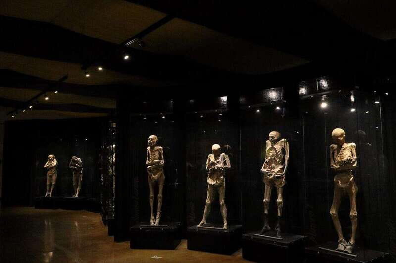 Christ the King Traveling Mummies VS El Santo and Catrinas - Key Points