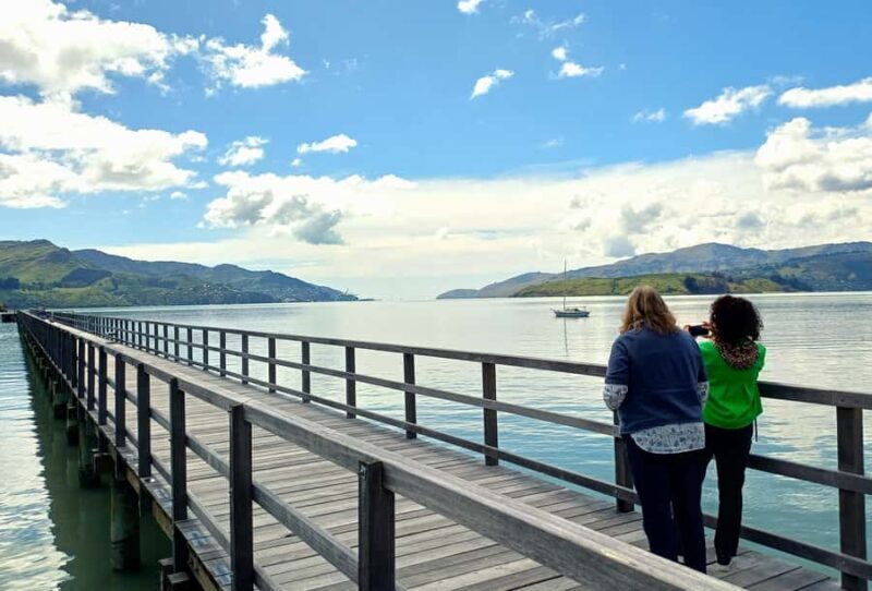 Christchurch: 1/2-Day Scenic Highlights Small Group Tour - Authentic Experiences and Insights