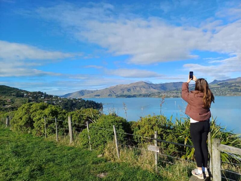 Christchurch: 1/2-Day Scenic Highlights Small Group Tour - Who Is This Tour Best For?