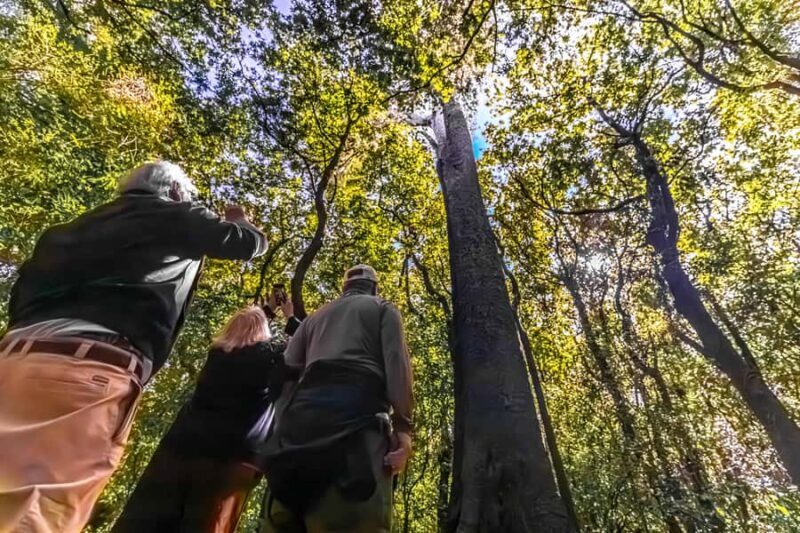 Christchurch: Akaroa and Banks Peninsula Day Trip - What to Expect: Practical Details
