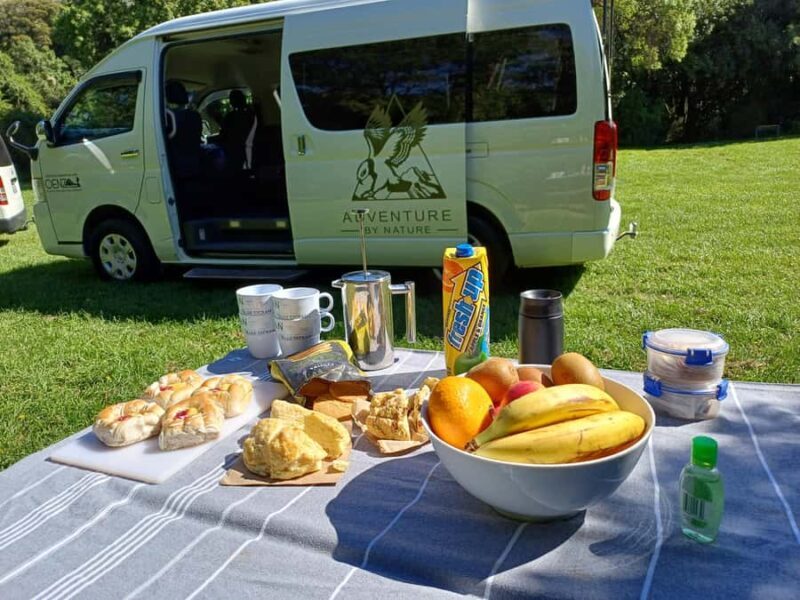 Christchurch: Akaroa and Banks Peninsula Day Trip - Final Thoughts: Is This Tour Worth It?