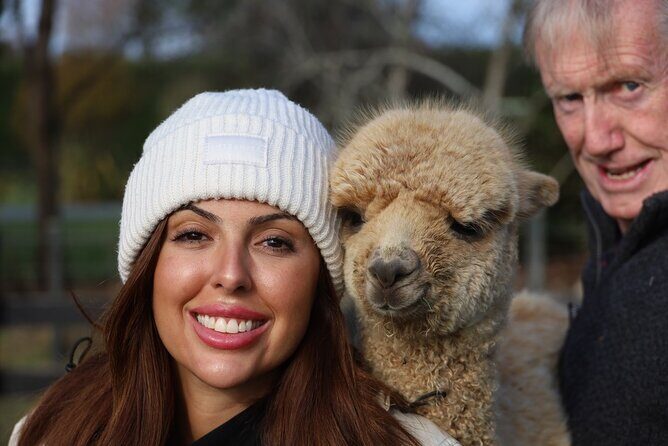 Christchurch Alpaca Farm Tour From Kaiapoi - What to Expect on the Farm Tour