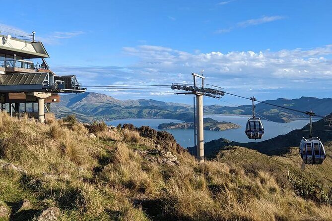 Christchurch City Full Day Tour - An In-Depth Review of the Christchurch City Full Day Tour