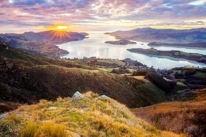 Christchurch City Highlights Half Day Tour - What to Expect from the Christchurch City Highlights Half Day Tour