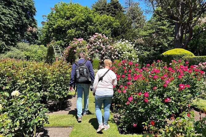 Christchurch City Top Spots Private Half Day Tour - Authentic Insights from Previous Travelers