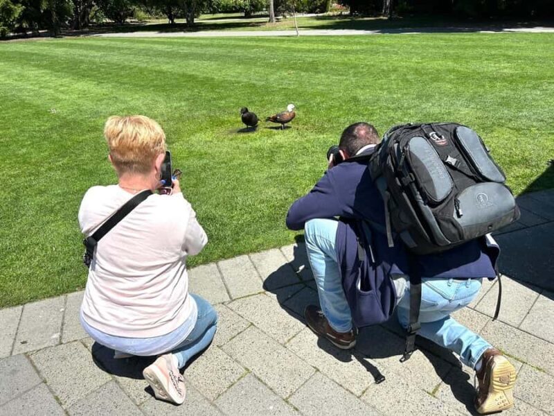 Christchurch City Top Spots Private Half Day Tour - An Honest Look at the Itinerary