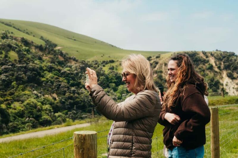 Christchurch City Top Spots Private Half Day Tour - Why We Think This Tour Is Worth Considering