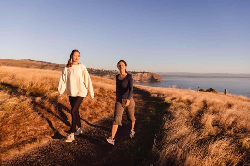 Christchurch: Godley Head & Lyttelton Guided Walking Tour - Key Points