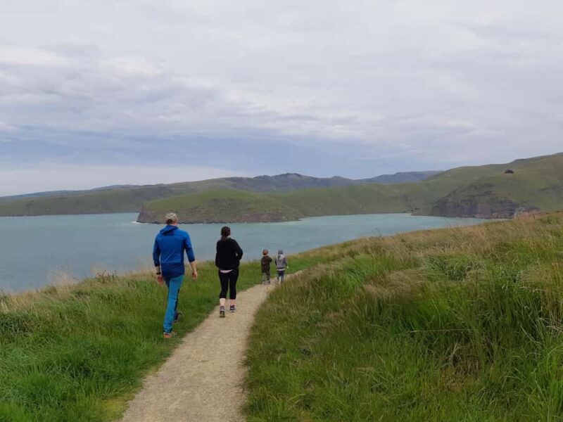Christchurch: Godley Head & Lyttelton Guided Walking Tour - FAQ
