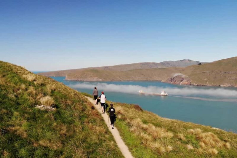 Christchurch: Guided Crater Rim Walk with Coastal Scenery - The Experience in Detail: What to Expect