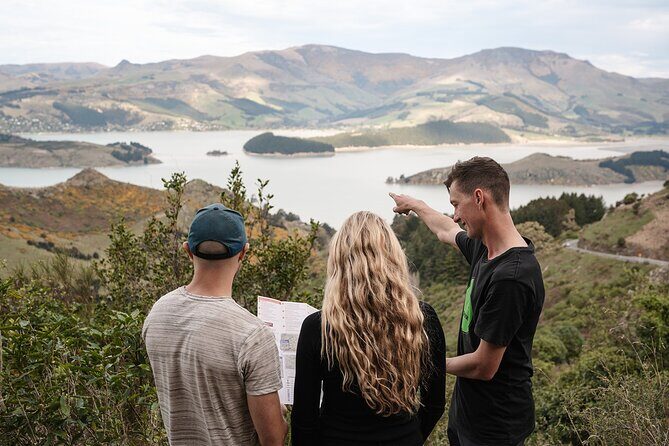 Christchurch Highlights Tour (Full Day Private) - Exploring Christchurch: An In-Depth Review of the Full-Day Private Highlights Tour