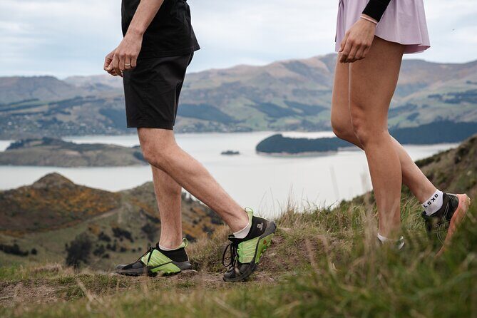 Christchurch Highlights Tour (Full Day Private) - An In-Depth Look at What the Tour Offers