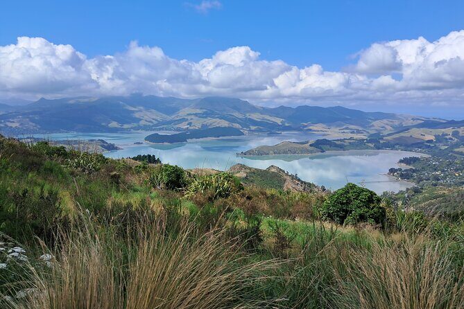 Christchurch Highlights Tour (Full Day Private) - Who Will Love This Tour?