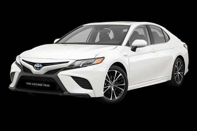 Christchurch International Airport to City Centre - A Detailed Look at the Christchurch Airport Transfer Experience