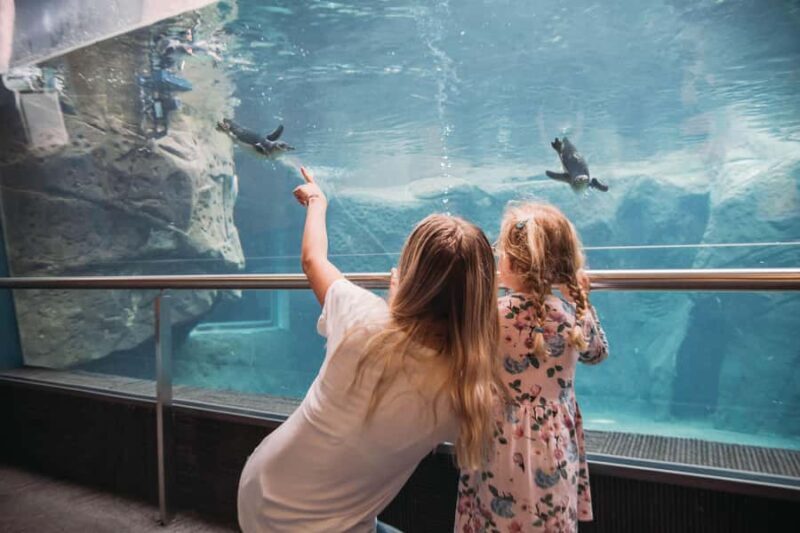 Christchurch International Antarctic Centre Entry Tickets - Who Would Love This Tour?