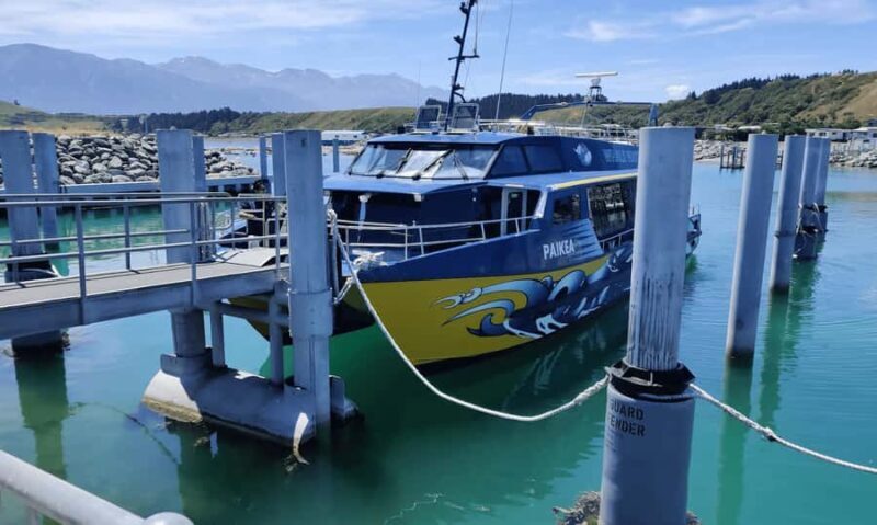 Christchurch: Kaikoura Day Tour with Hotel Pickup - An Unbiased Breakdown of the Experience