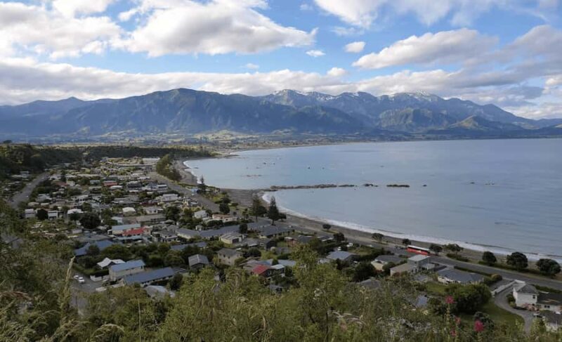 Christchurch: Kaikoura Day Tour with Hotel Pickup - Final Thoughts