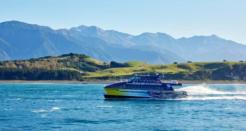 Christchurch: Kaikoura Whale Watching Day Tour - The Itinerary Breakdown: What to Expect